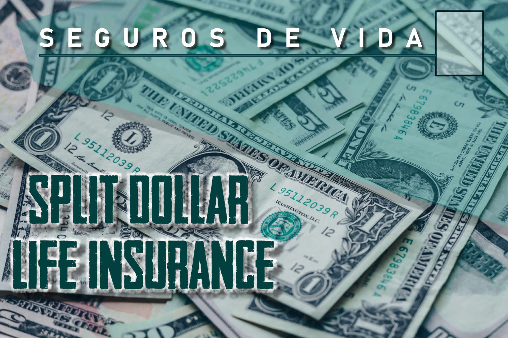 Seguro de vida Dólar dividido – Partners for Life