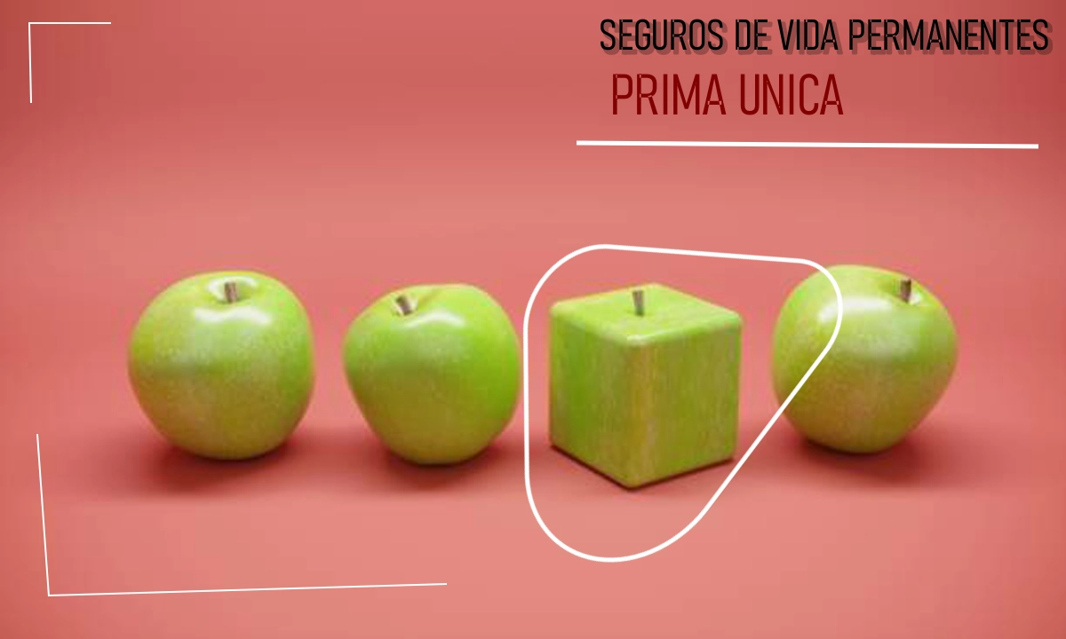 ¿Qué es un seguro de vida de prima única? — Partners for Life